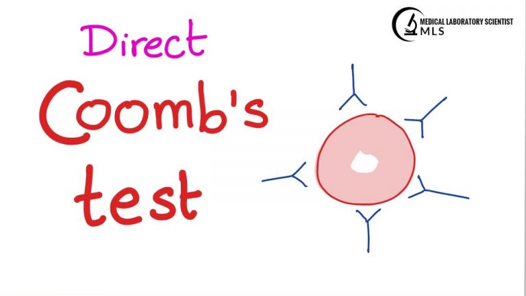 Direct Coombs Test (DAT): Principle, Procedure, Interpretations and ...